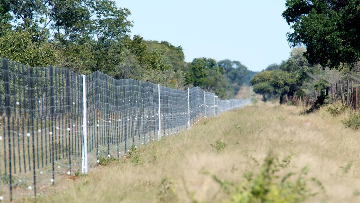 Beyond Fences | Cornell K. Lisa Yang Center for Wildlife Health ...