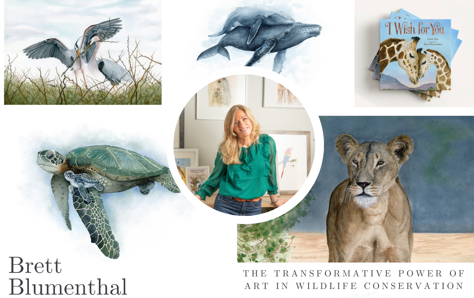 The Transformative Power of Art in Wildlife Conservation: Inspiration ...