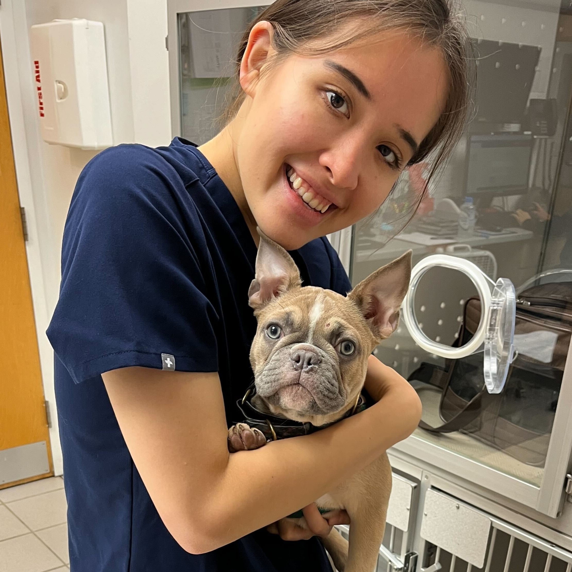 Caroline Stamm | Cornell K. Lisa Yang Center for Wildlife Health ...